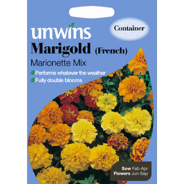 Free marigold seeds packet | Latest Free Stuff | Freebies UK, Free ...