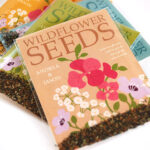 Free Flower Seeds | LatestFreeStuff.co.uk