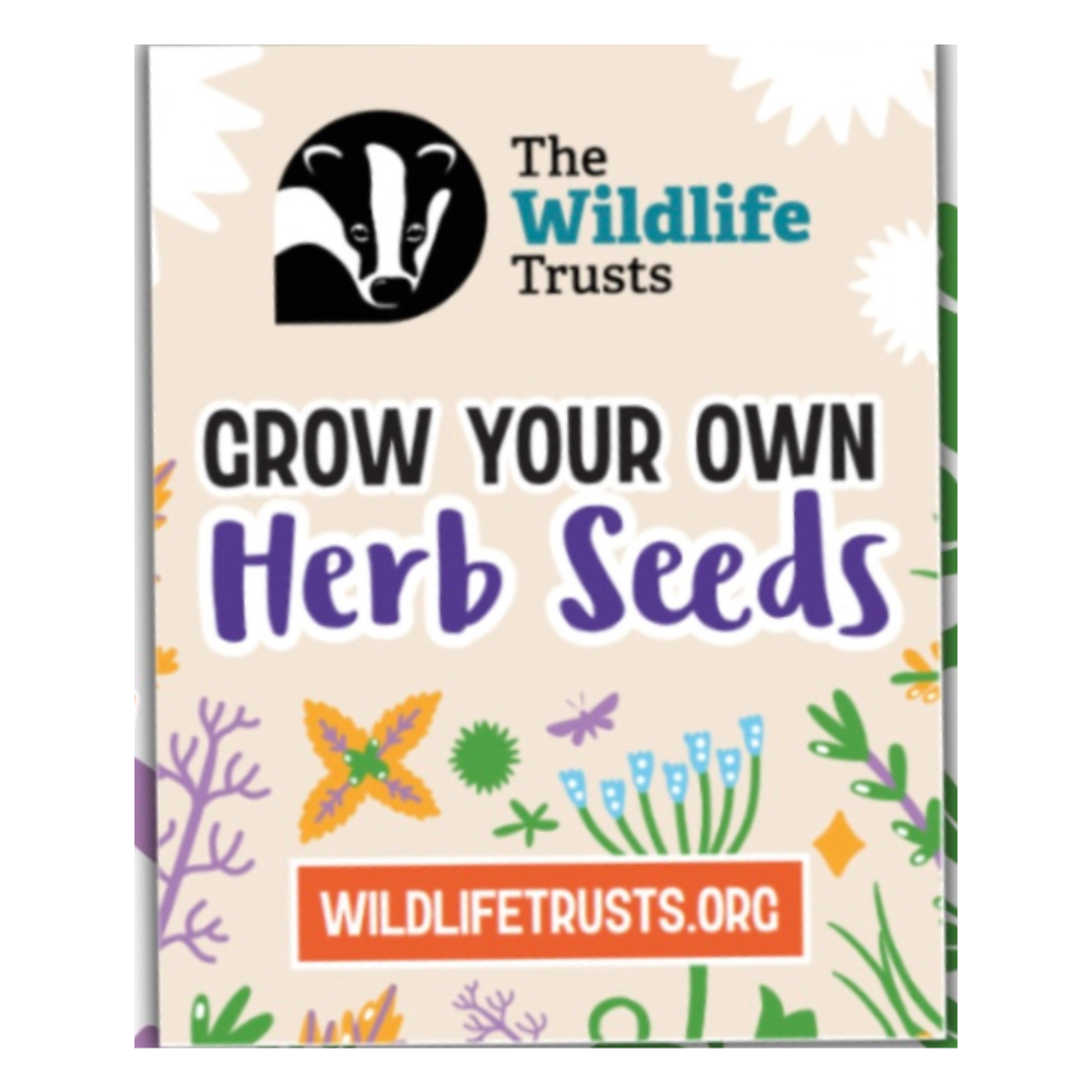Free Herb Seeds Pack | LatestFreeStuff.co.uk