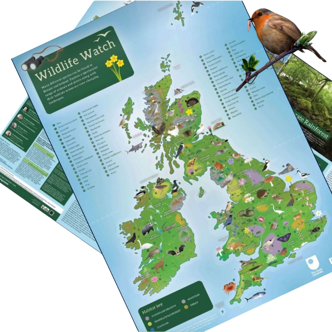 Free BBC Wildlife Poster | LatestFreeStuff.co.uk