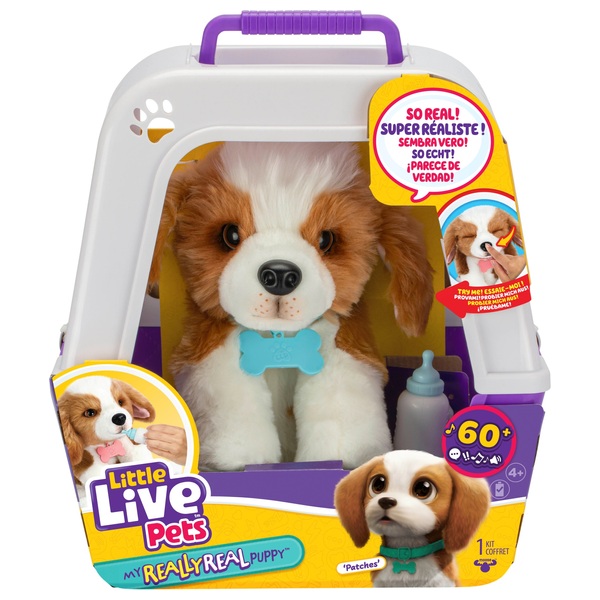 Free Little Live Pets Toy | LatestFreeStuff.co.uk