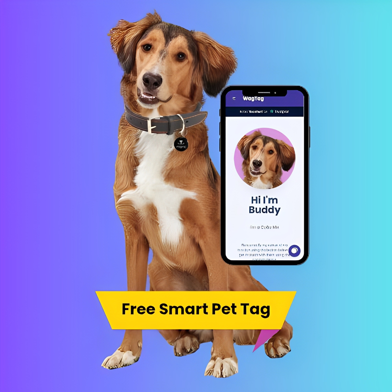 Free Felix Cat Food | LatestFreeStuff.co.uk