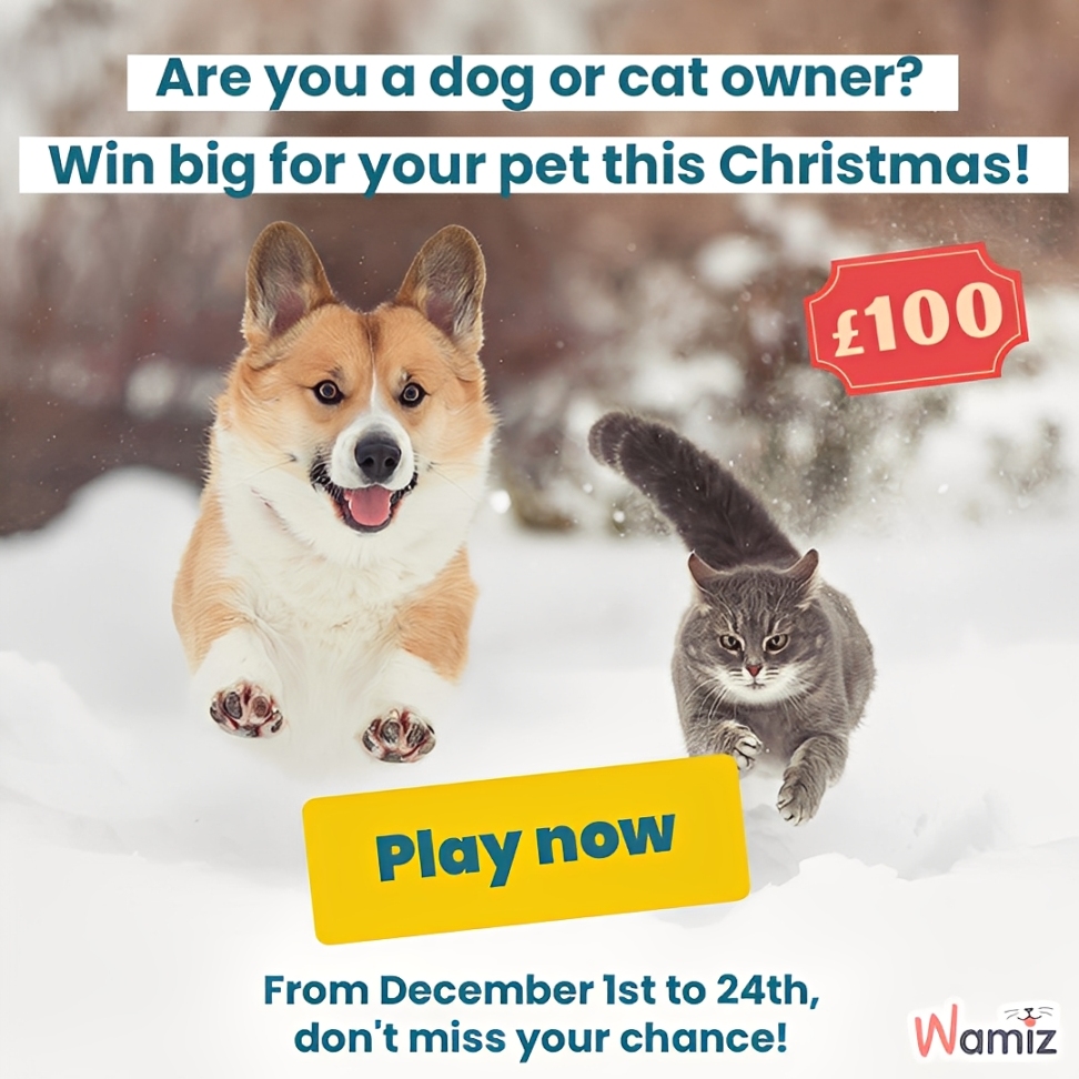 Free Christmas Game For Pet Owners – Win Amazon Vouchers (Worth up to £ ...